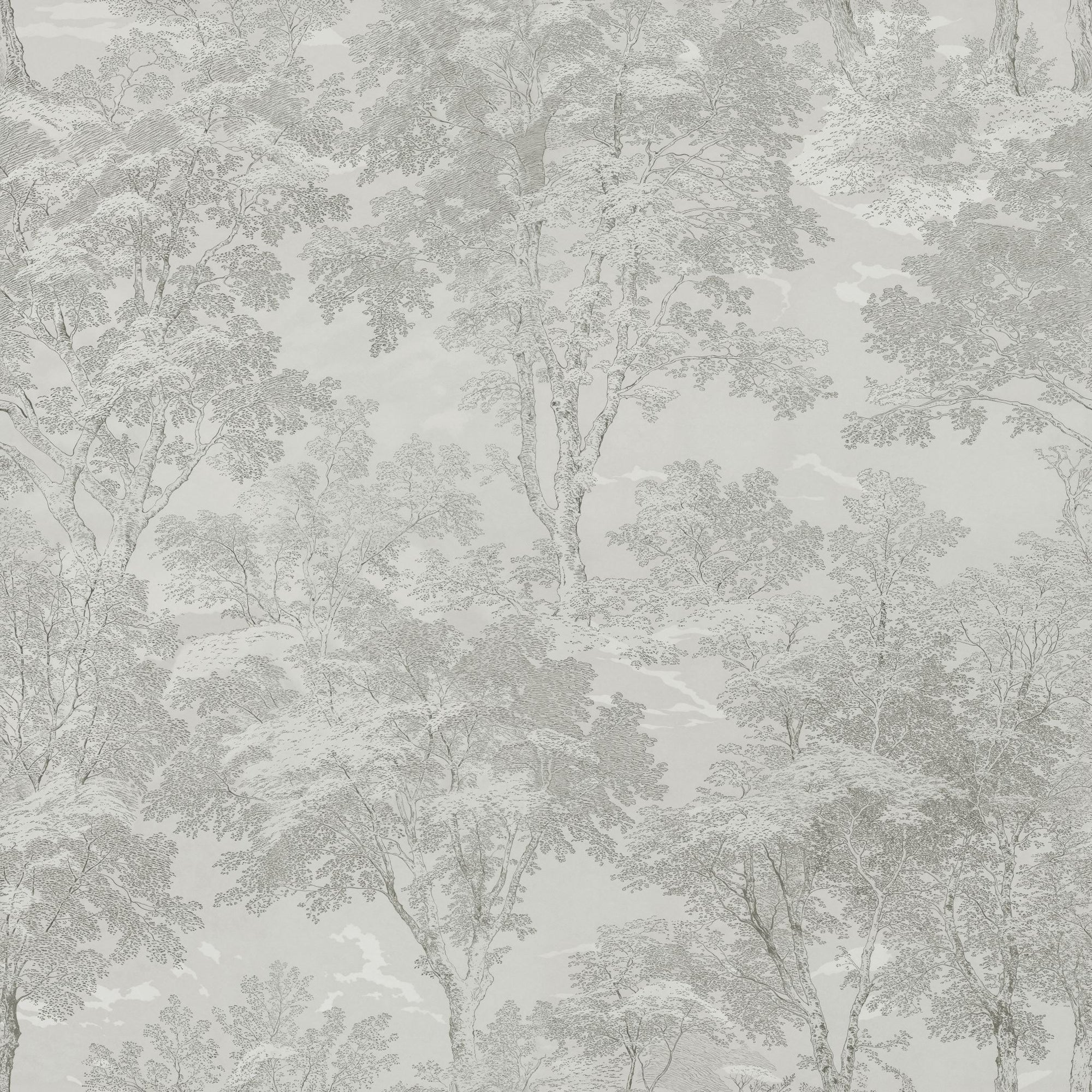 Ever After Toile - Tree Grove Wallpaper