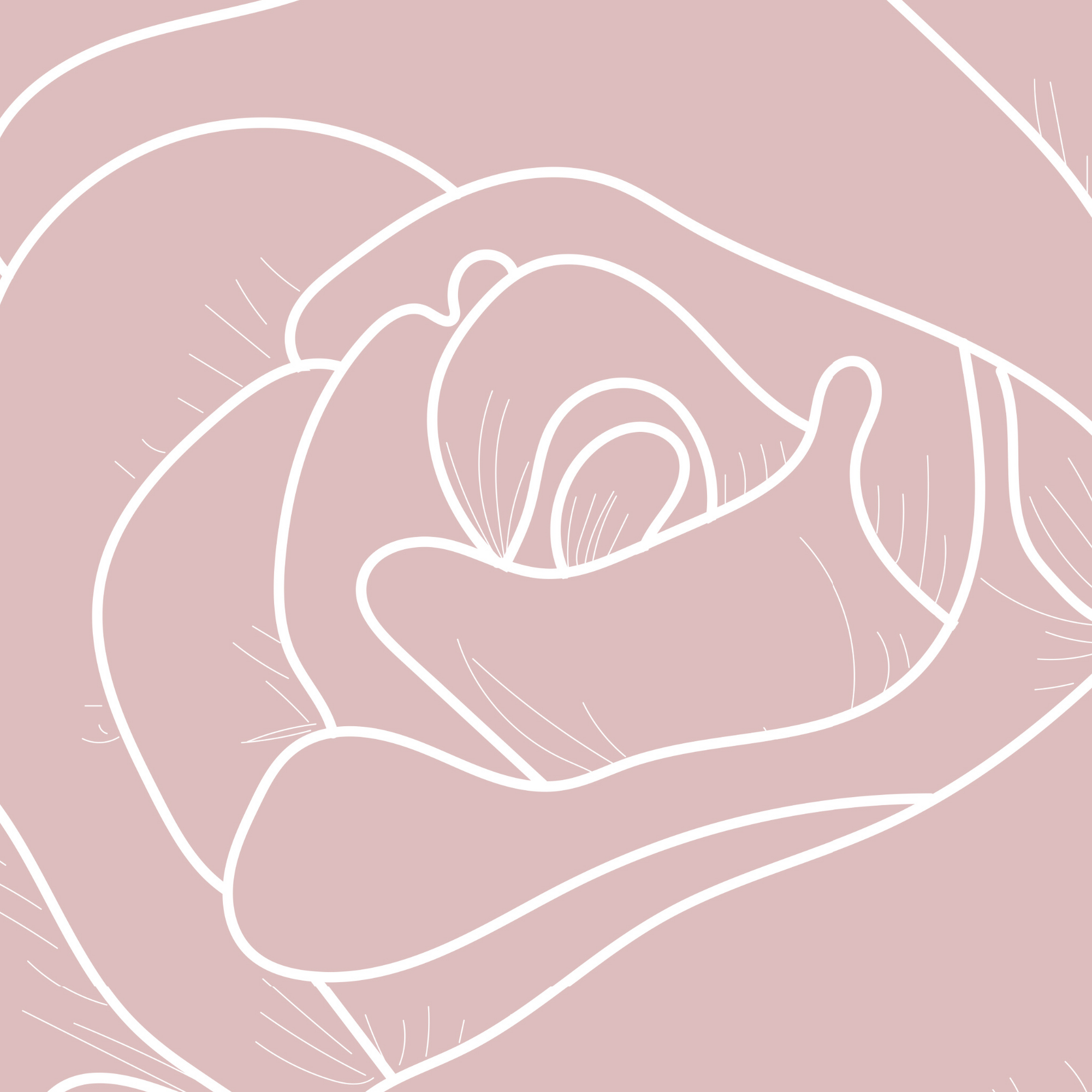 Adelyn - Rose Peel and Stick Wallpaper