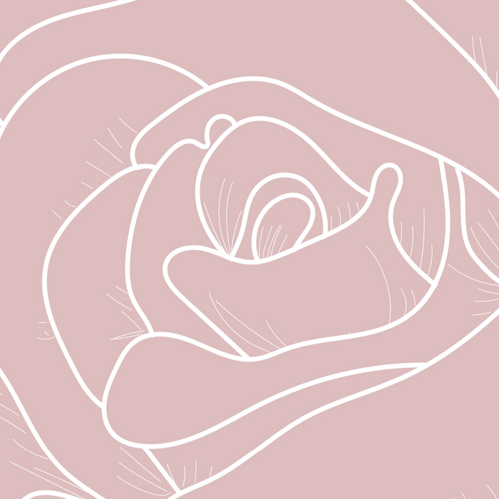 Adelyn - Rose Peel and Stick Wallpaper