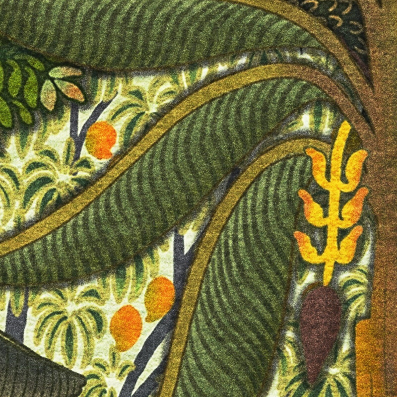 Baloo - Tropical Vintage Collage Wallpaper