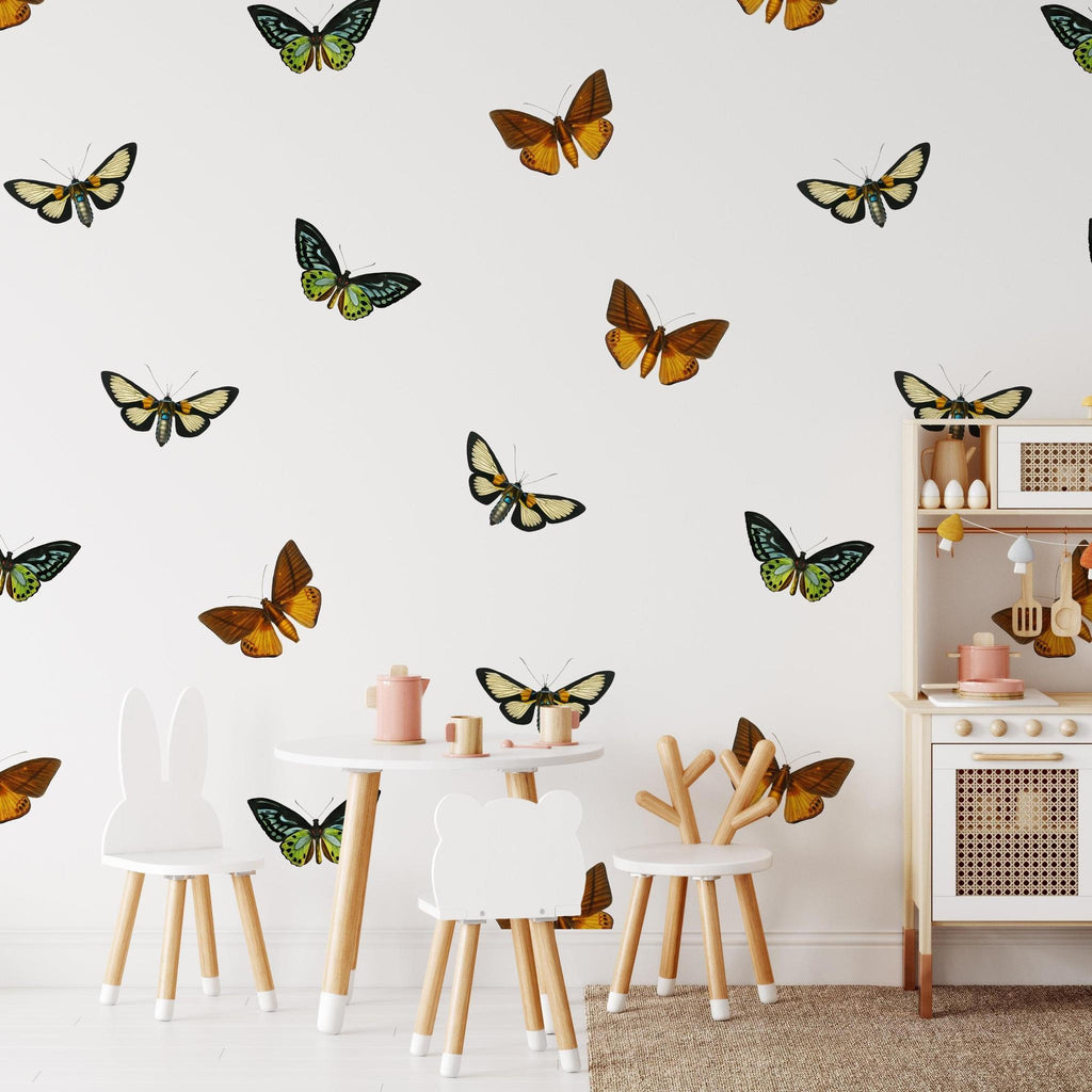Flutter Wallpaper | WALL BLUSH