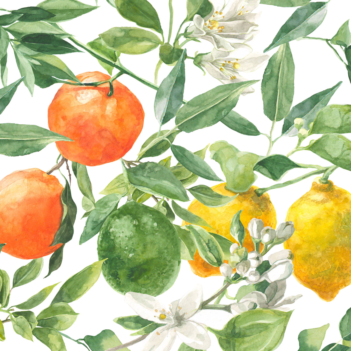 Mediterranean - Citrus Peel and Stick Wallpaper