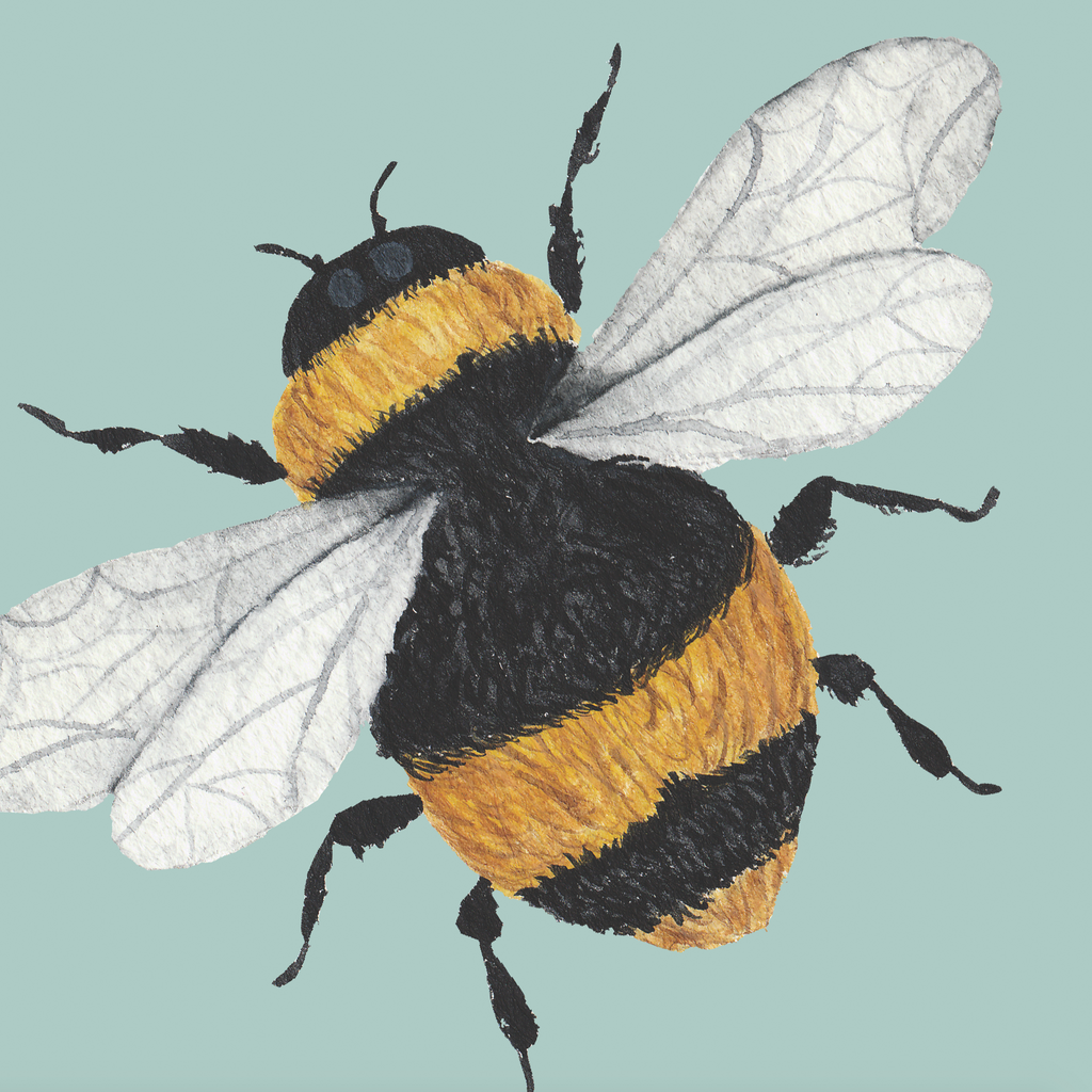 Bumble (Blue) Wallpaper | WALL BLUSH