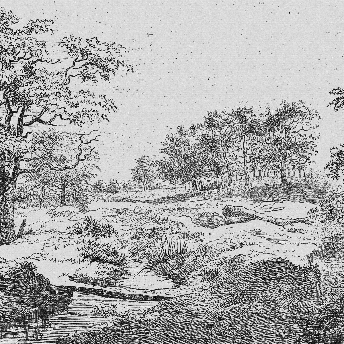 Midsummer - Vintage Sketched Forest Wallpaper