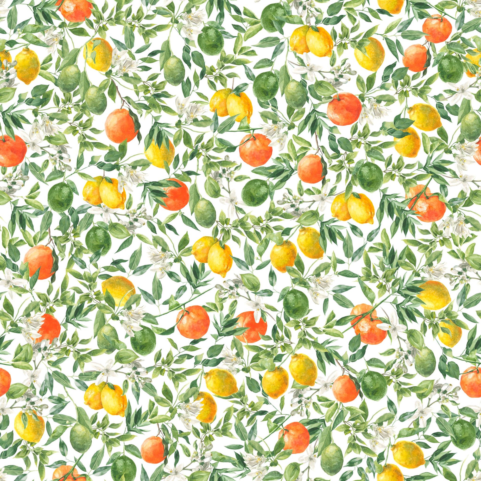 Mediterranean - Citrus Peel and Stick Wallpaper