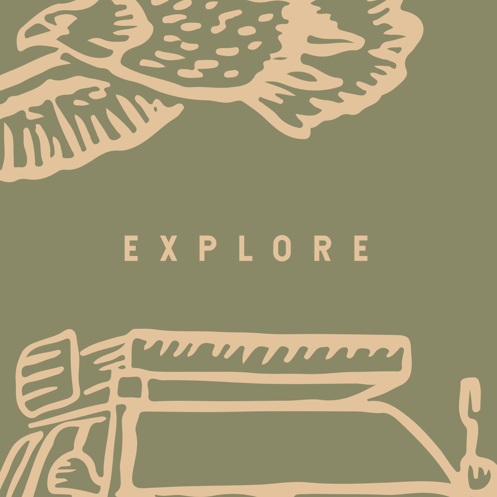 Adventure Awaits (Green) - Hand Drawn Outdoors Inspired Peel and Stick ...