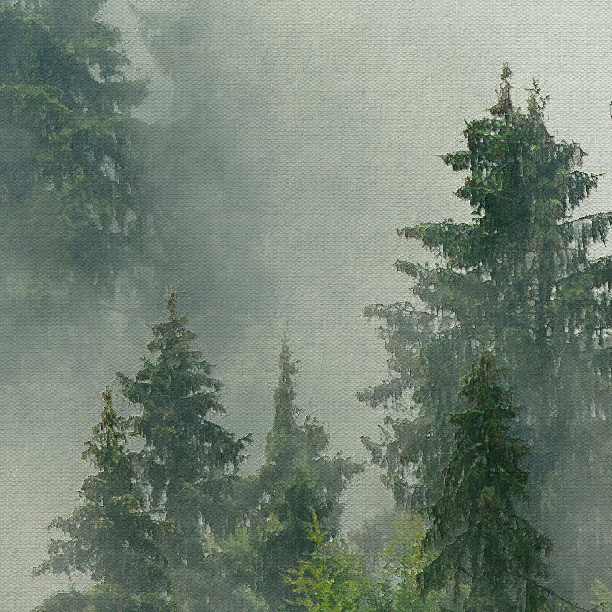 Pinetop - Forest Peel and Stick Wallpaper