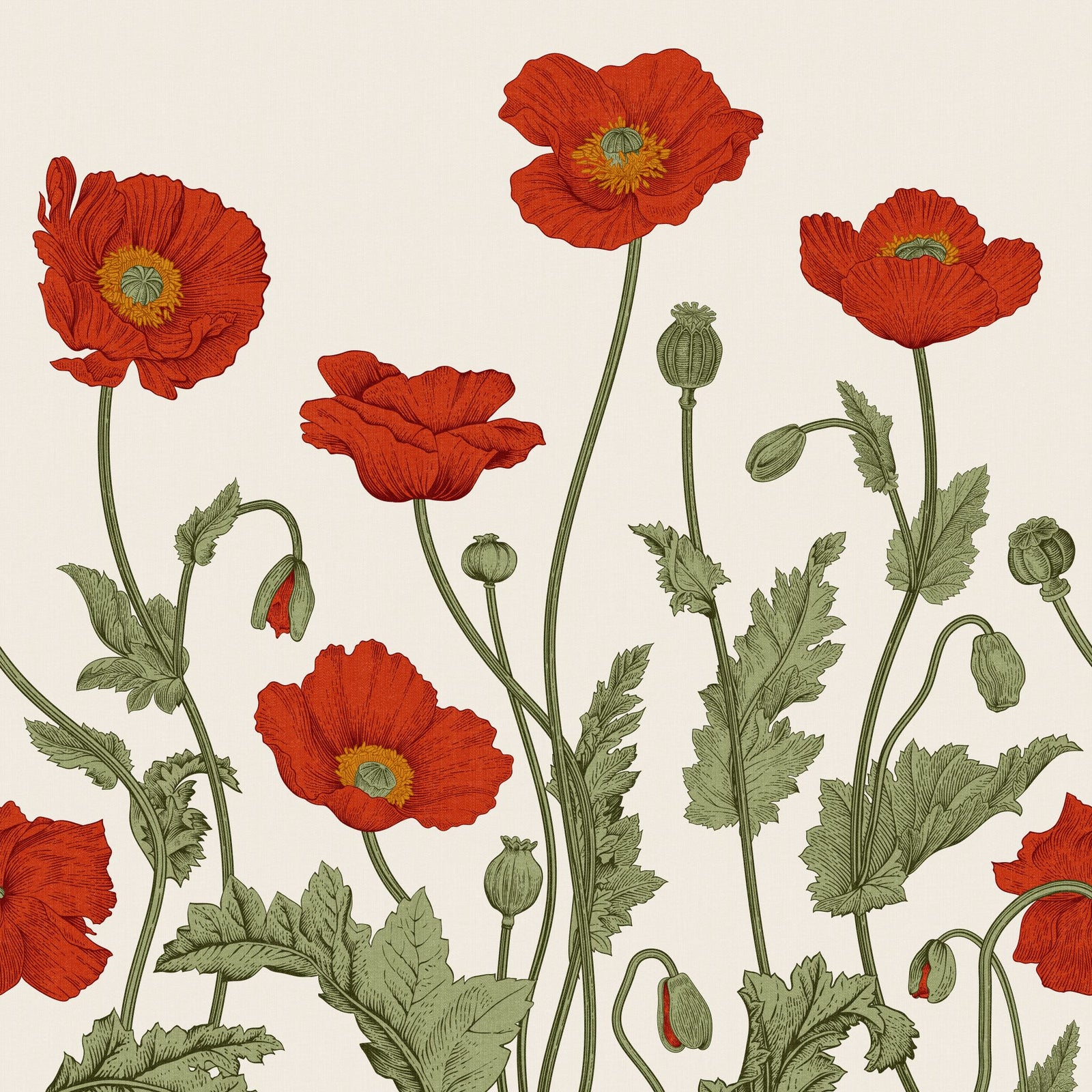 Poppy Lane - Red Poppy Peel and Stick Wallpaper